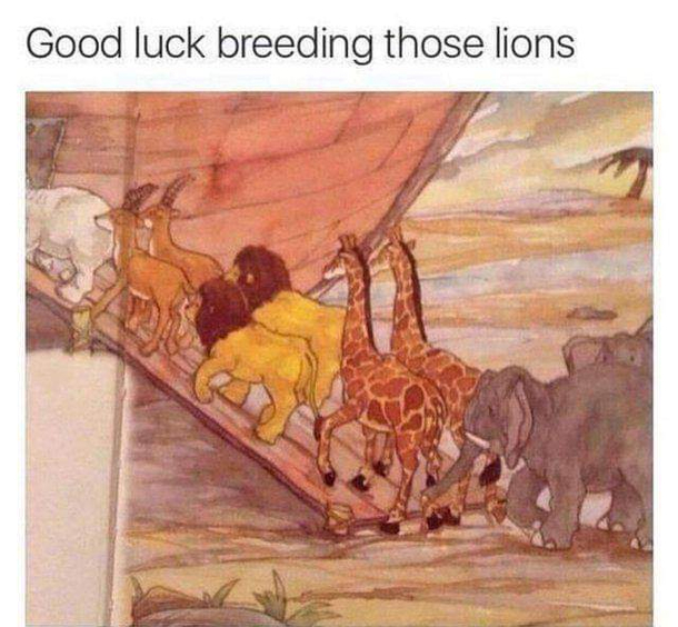 Good luck breeding those lions Noah - Meme Guy Good luck breeding those lions Noah - Meme Guy