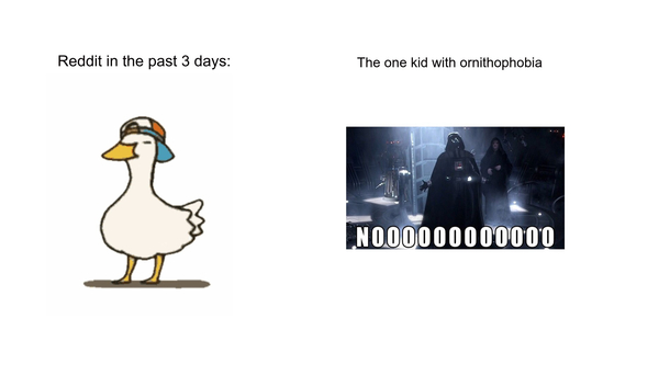 Im So Sorry The Duck Doesnt Move Meme Guy