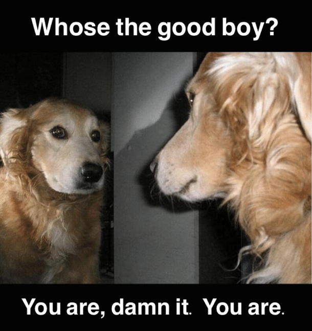 Ive always wondered what hes thinking - Meme Guy Ive always wondered what hes thinking - Meme Guy