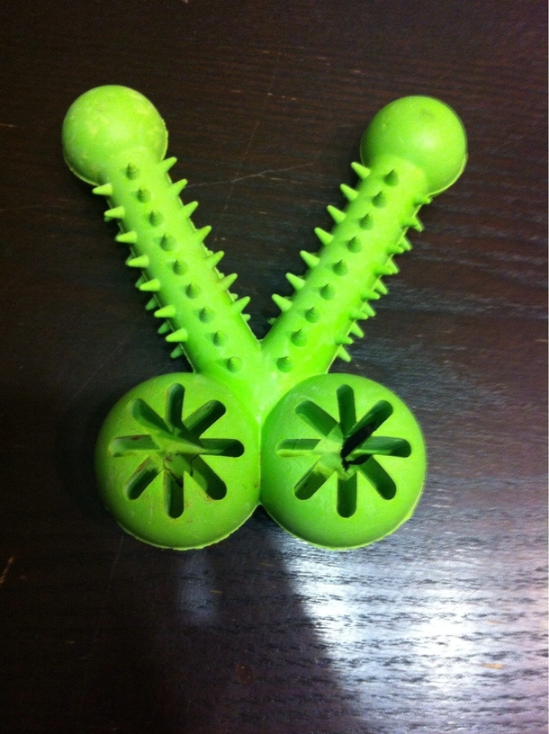 My dogs new chew toy looks oddly familiar - Meme Guy My dogs new chew toy looks oddly familiar - Meme Guy