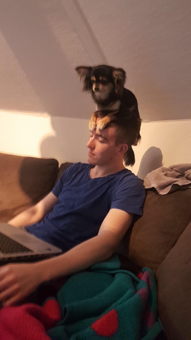 My friend sent me this pic and said nothing - Meme Guy My friend sent me this pic and said nothing - Meme Guy