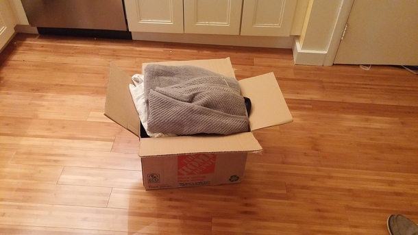 Pic #1 - Oh wow My parents sent me this awesome care package - Meme Guy Pic #1 - Oh wow My parents sent me this awesome care package - Meme Guy