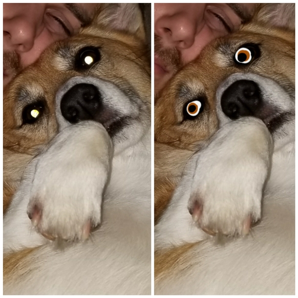 So I tried my hand at photo-correcting - Meme Guy So I tried my hand at photo-correcting - Meme Guy