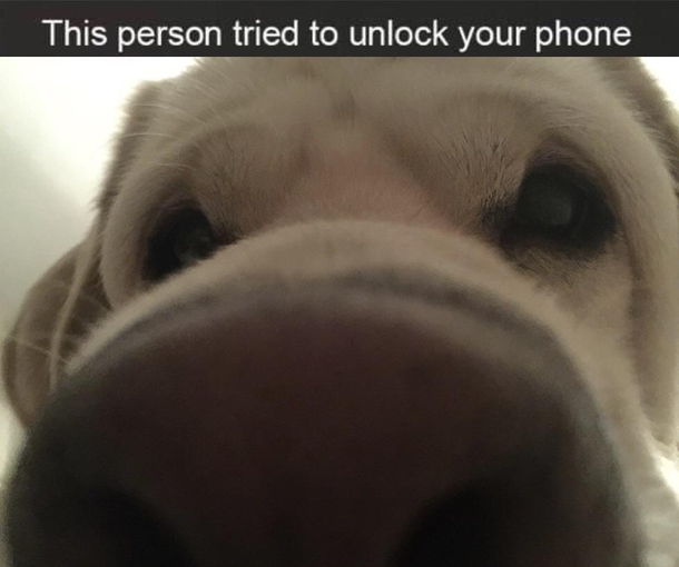 This person tried to unlock your phone - Meme Guy This person tried to unlock your phone - Meme Guy
